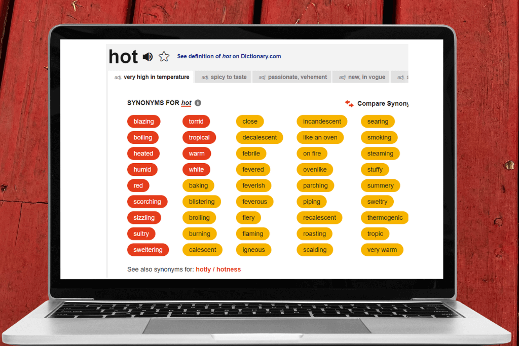 Fun Activities for Synonyms to Inspire Students - An ELA Experience