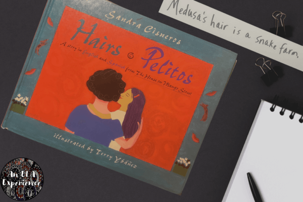 Colorful Lessons on Apostrophes for Middle School Students - An ELA ...